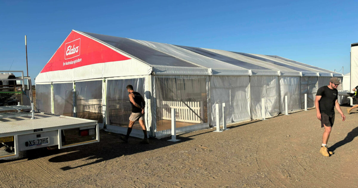 Field Days Hire | Olympic Party Hire