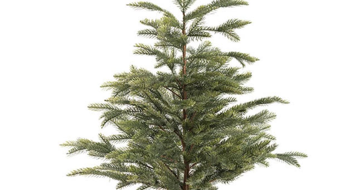 Olympic Party Hire | Traditional Pine Christmas Tree - Hessian Pot